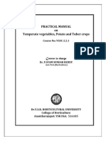 Beetroot Production Guidelines | PDF | Beetroot | Sowing