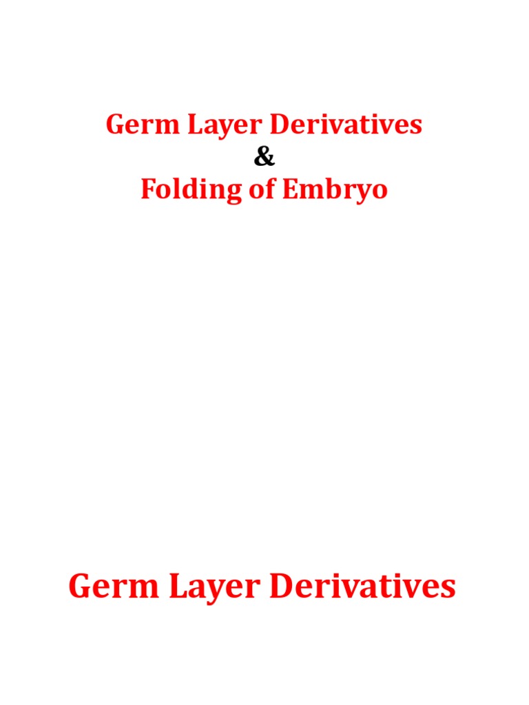 Germ Layer Derivatives and Folding of Embryo | Download Free PDF ...