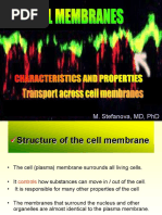 Plasma Membrane Presentation | PDF | Cell Membrane | Cell (Biology)