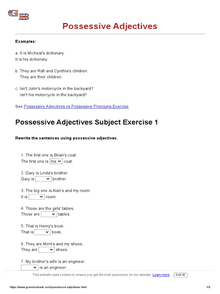 Understanding Possessive Adjectives | PDF