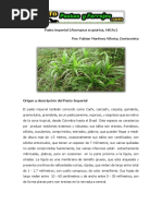 Ficha Técnica Del Pasto Peludo (Brachiaria Decumbens | PDF | Pasto | Pasto