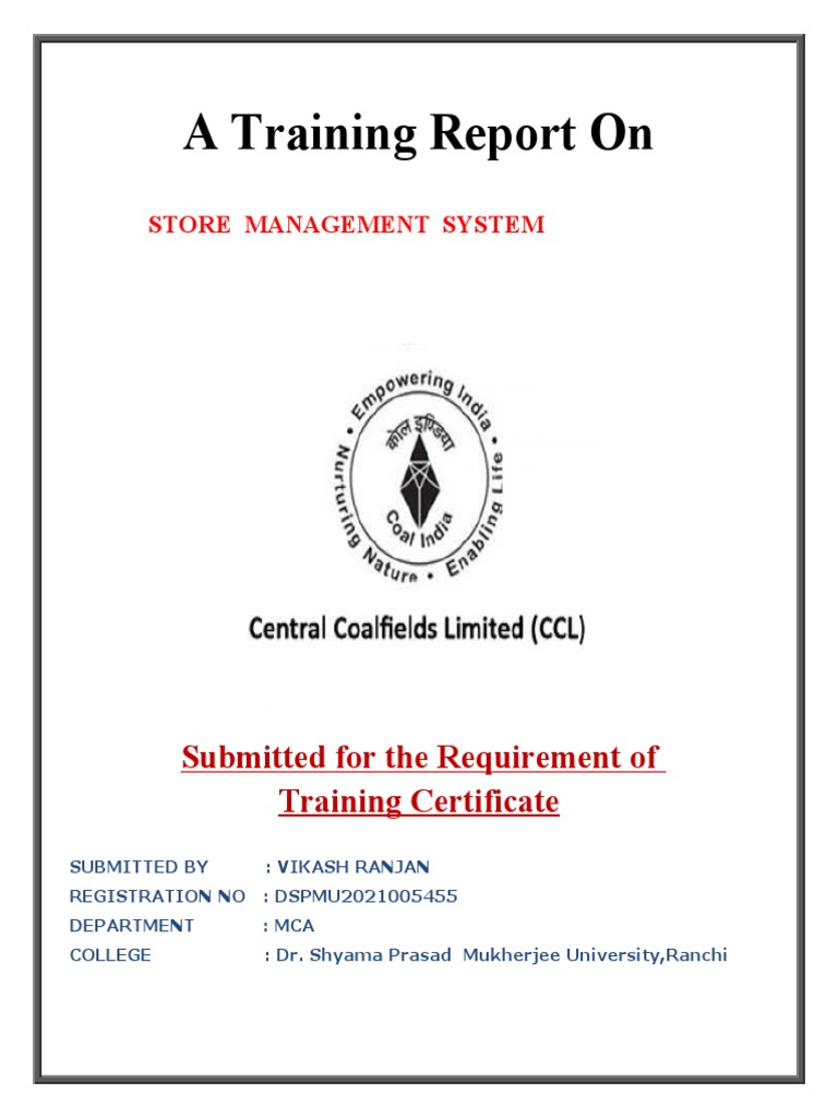 Store Management System | PDF | Databases | Analytics