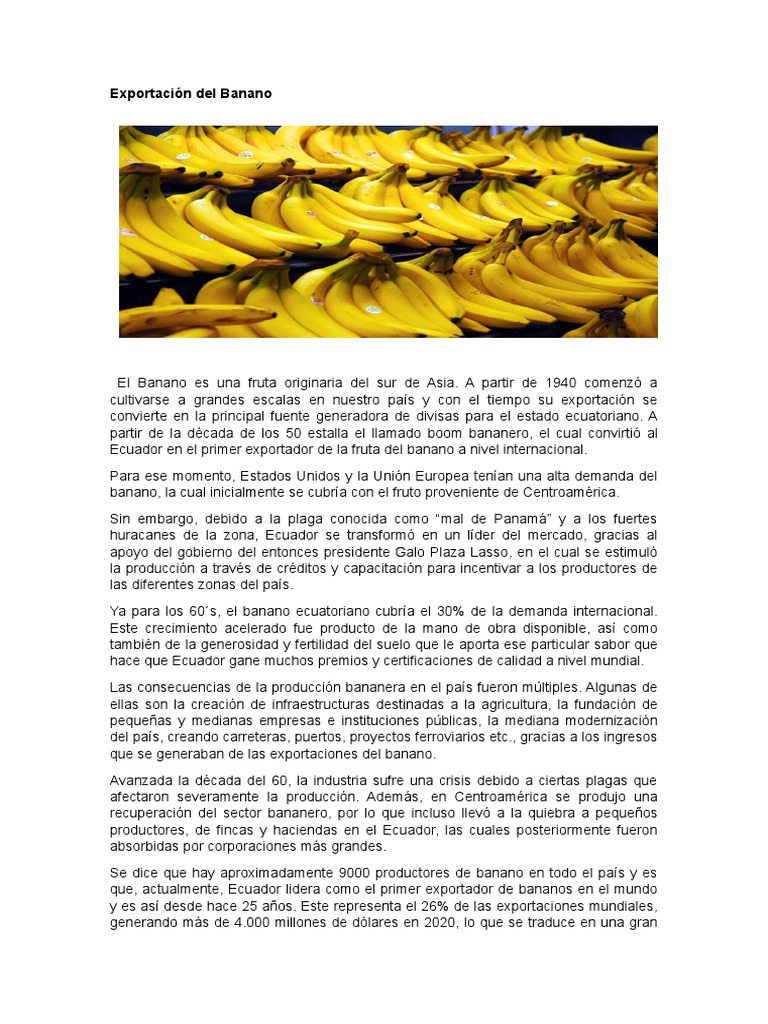 Auge y crisis del banano en Ecuador | PDF | Ecuador | Agricultura
