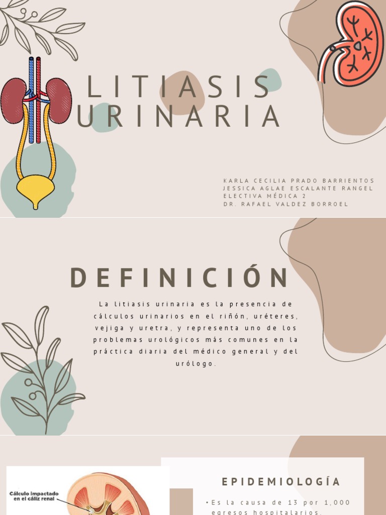 Litiasis Urinaria: Signos y Tratamiento | PDF | Orina | Sistema ...
