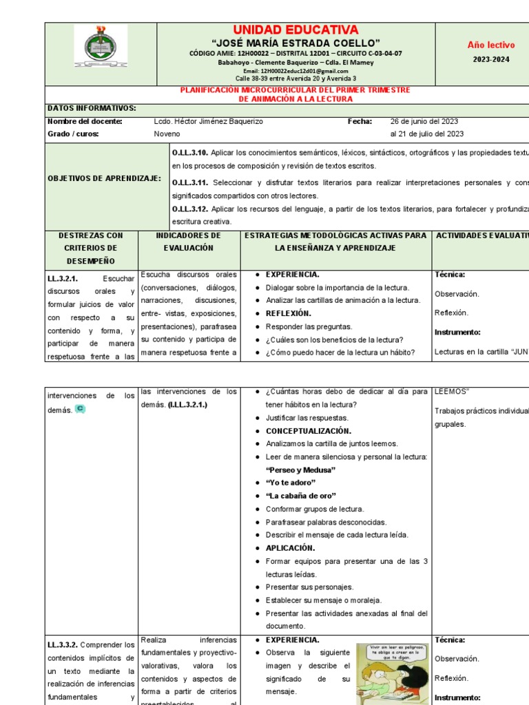 Animacion Lectura 10mo - Planificacion | Descargar gratis PDF | Cognición | Psicología cognitiva