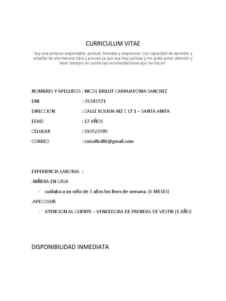 Curriculum Nicol Brillit | PDF