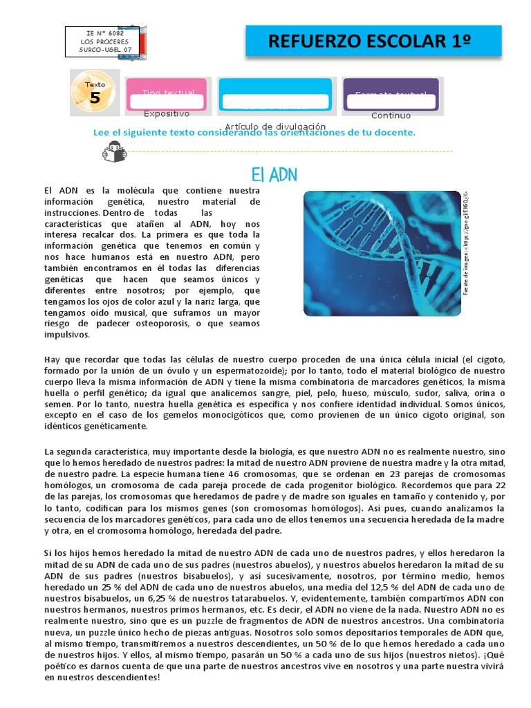 Lectura El ADN 5 | PDF | Adn | Cromosoma