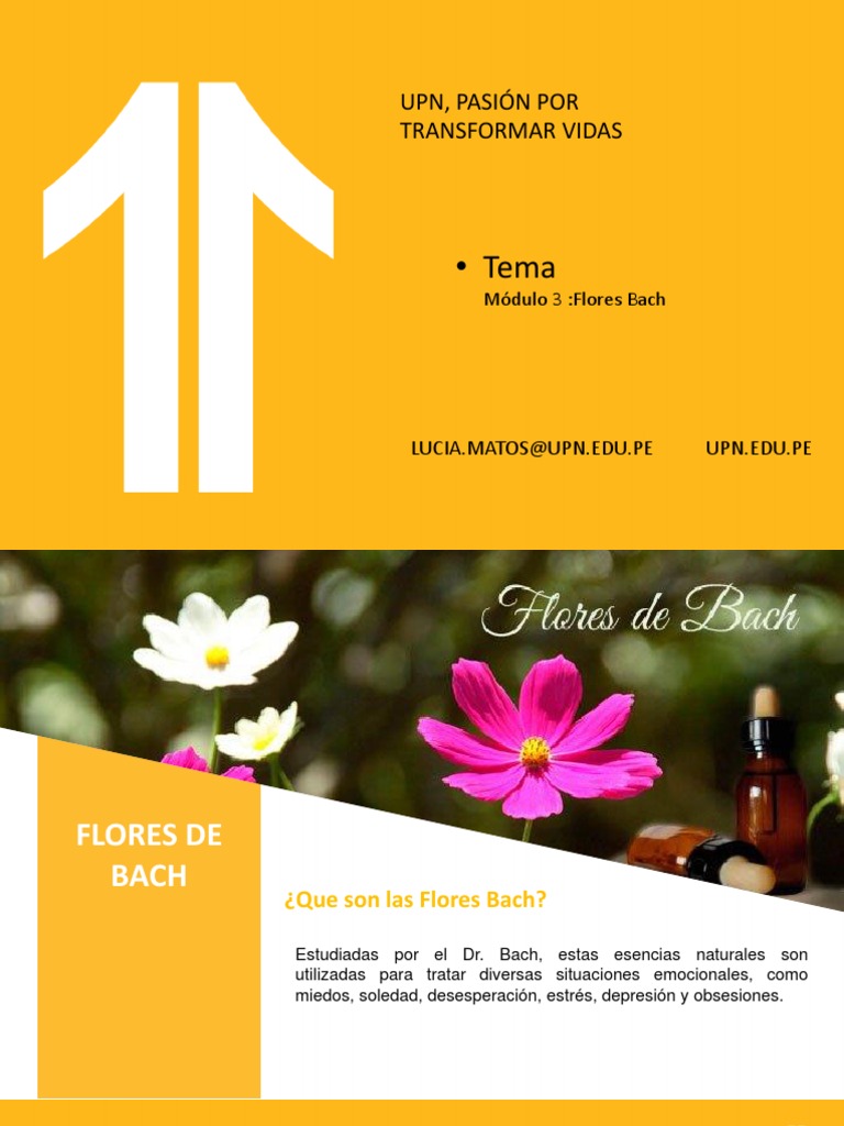 Semana 10 - Flores de Bach LUCIA MATOS | PDF | Remedios florales de ...