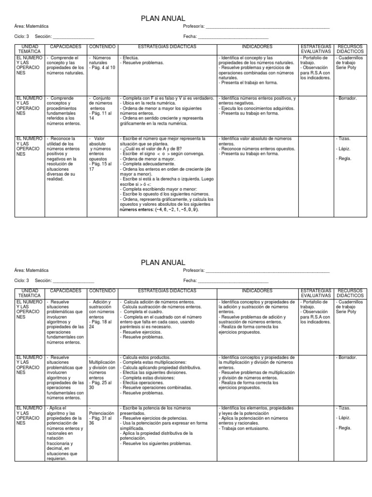 Plan Anual de Matemáticas para Ciclo 3 | PDF | Entero | Número racional