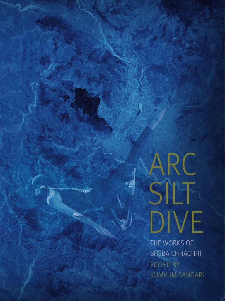 Sheba Chhachhi's Art: Installations & Feminism | PDF | Anthropocene