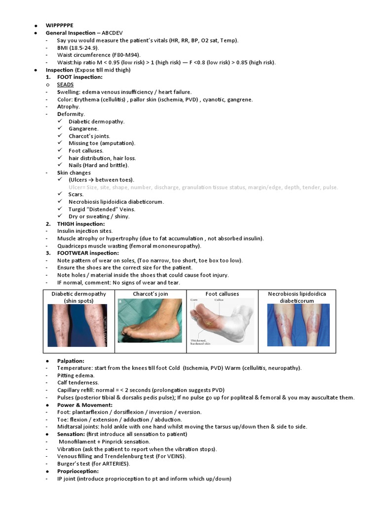 Diabetic Foot | PDF | Anatomical Terms Of Motion | Ankle
