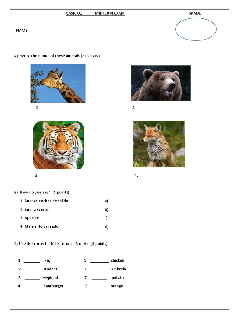 Basic 01 Midterm Exam Grade | PDF