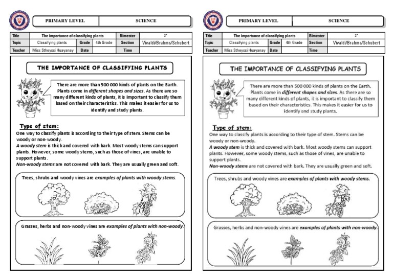 Plant Classification for 4th Grade | PDF
