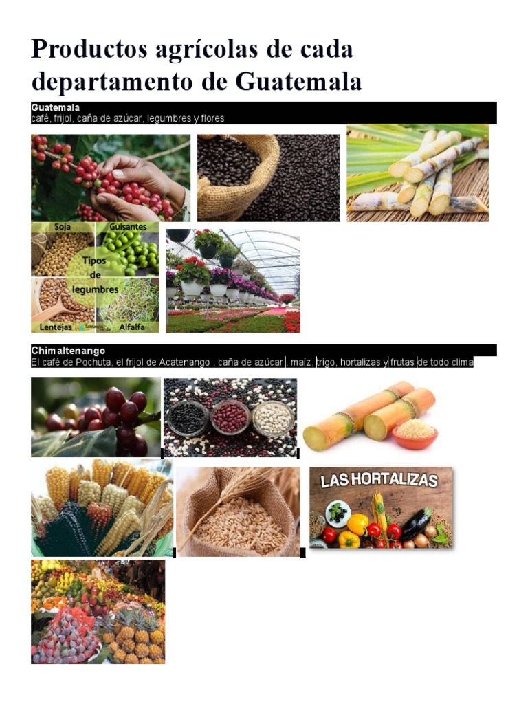 Productos agrícolas por departamento en Guatemala | PDF