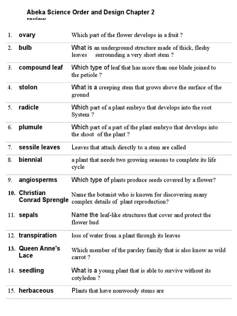 Abeka Order & Design Chapter 2 Study Guide | PDF