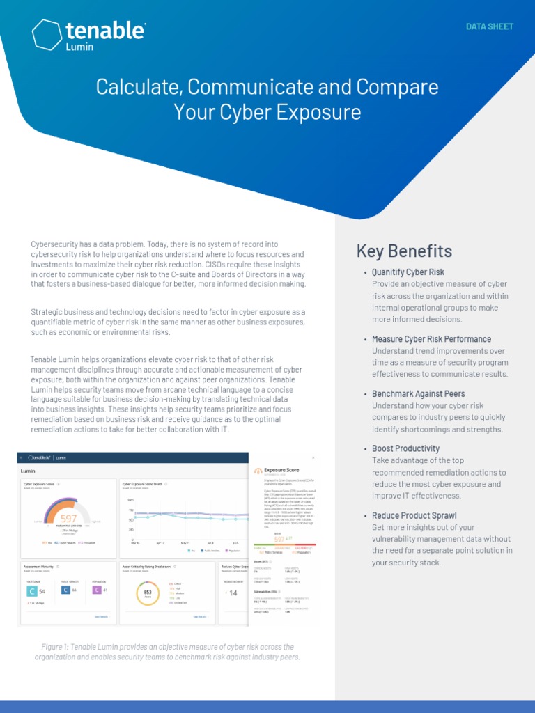 Datasheet-Tenable Lumin | PDF | Computer Security | Security