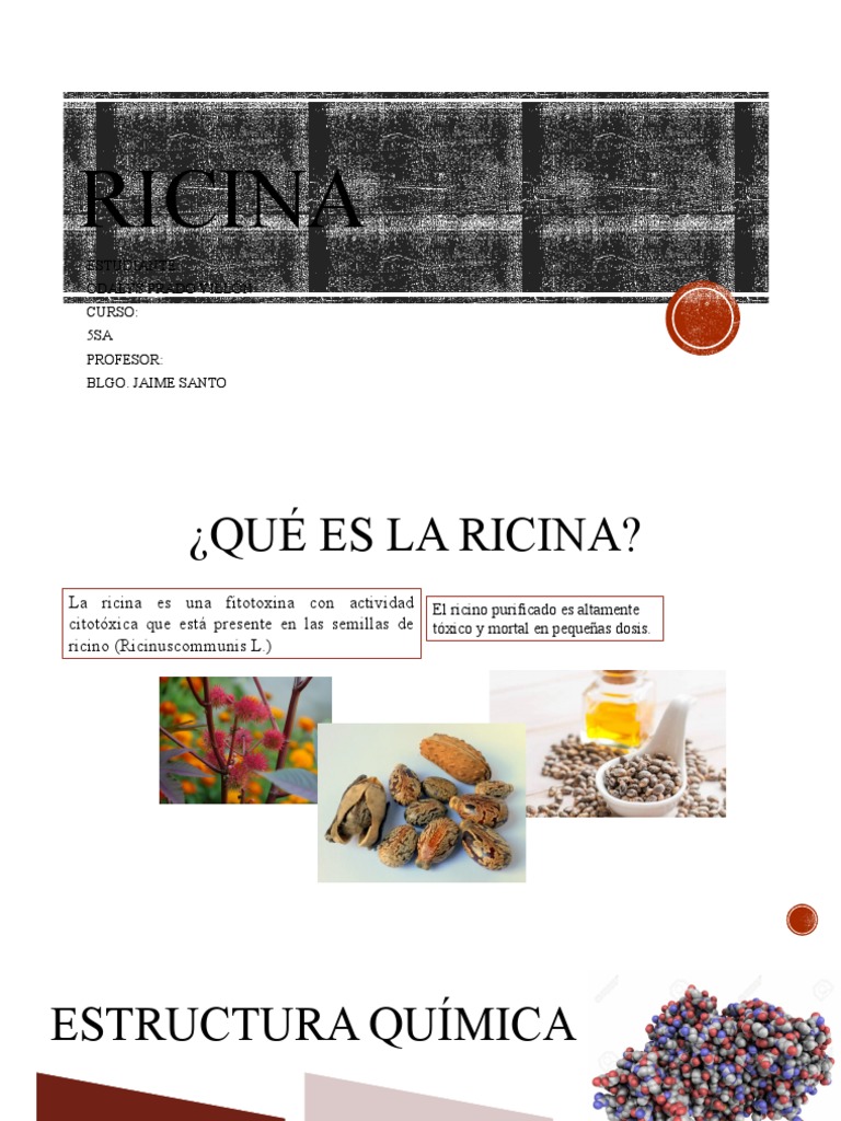 Estructura y toxicidad de la ricina | PDF