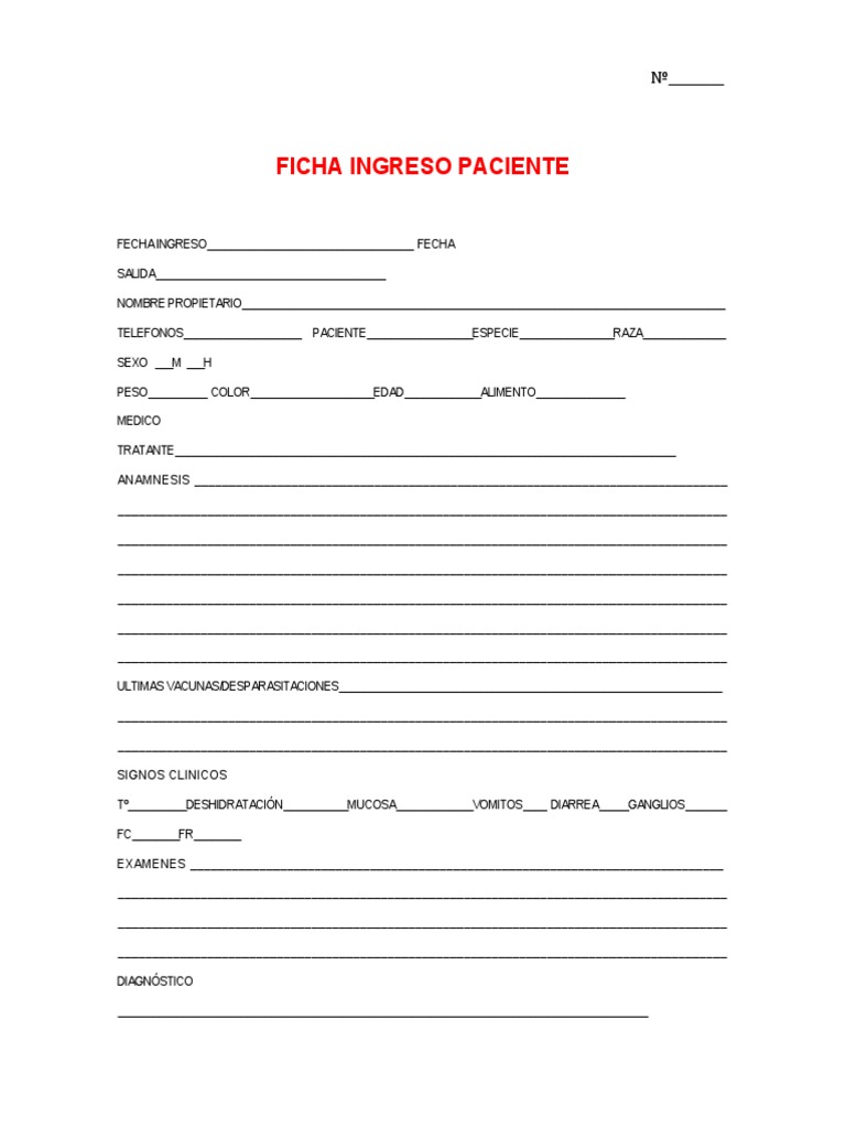 Hoja de Ingreso Paciente | PDF