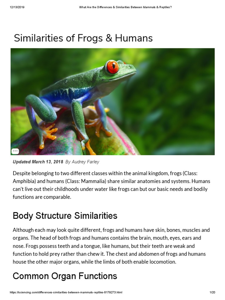 What - Are - The - Difference and Similarities - Between - Mammals and ...