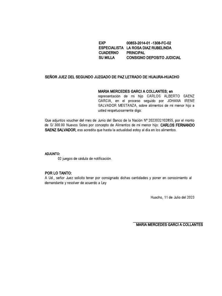 Maria Mercedes Garci A Collantes | PDF