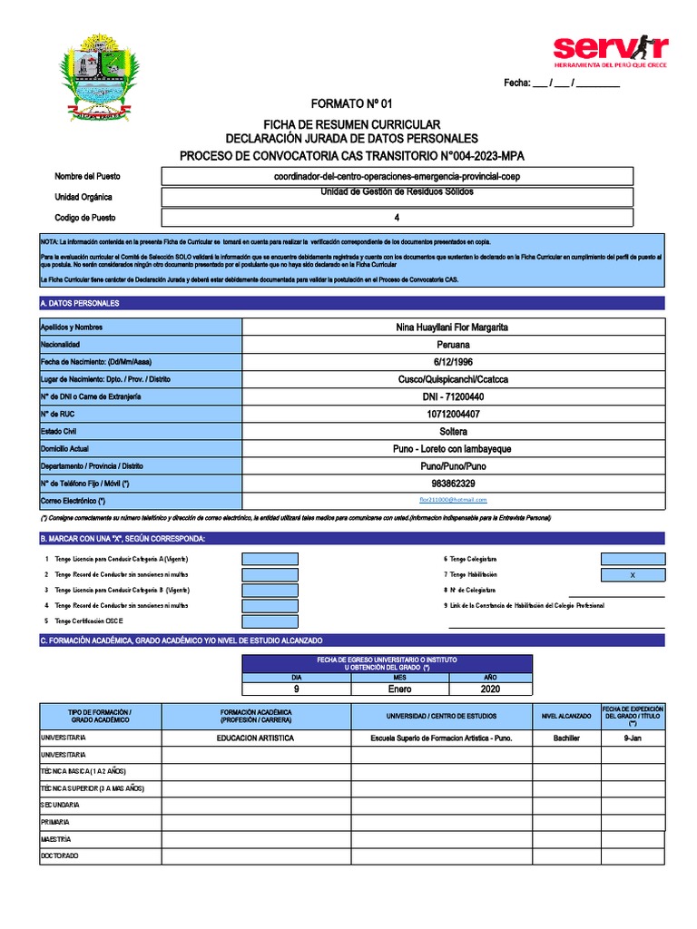 Formato No01 Ficha de Resumen Curricular | PDF | Titulo academico