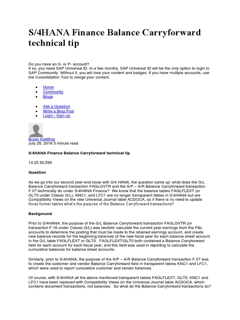S4hana Finance Balance Carryforward Technical Tip Pdf Business 1915
