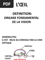 Anatomie des reins et leur vascularisation | PDF | Rein | Foie