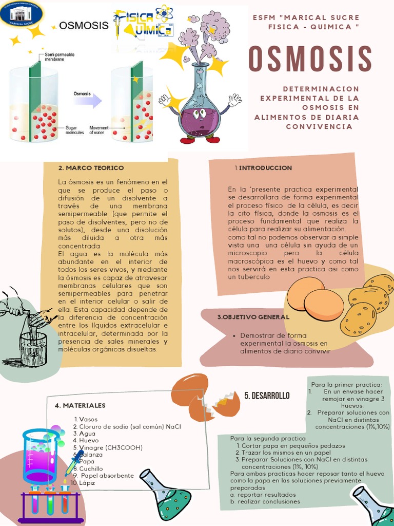 OSMOSIS | PDF | Ósmosis | Concentración