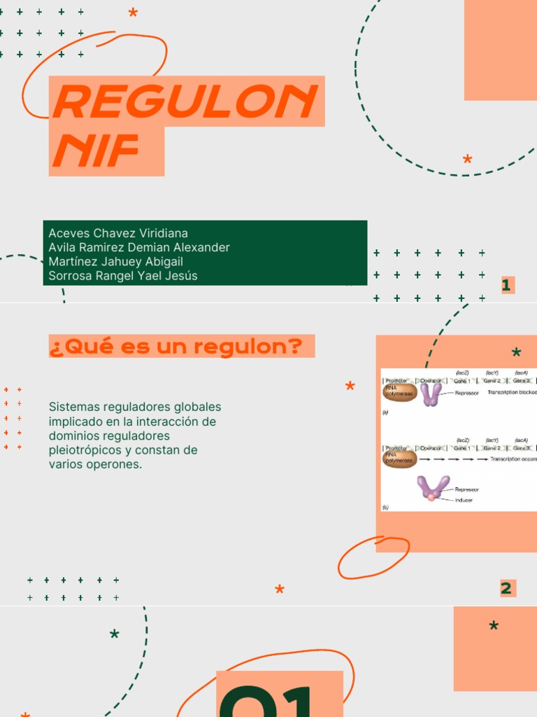 Regulon NIF | PDF | Gene | Las bacterias
