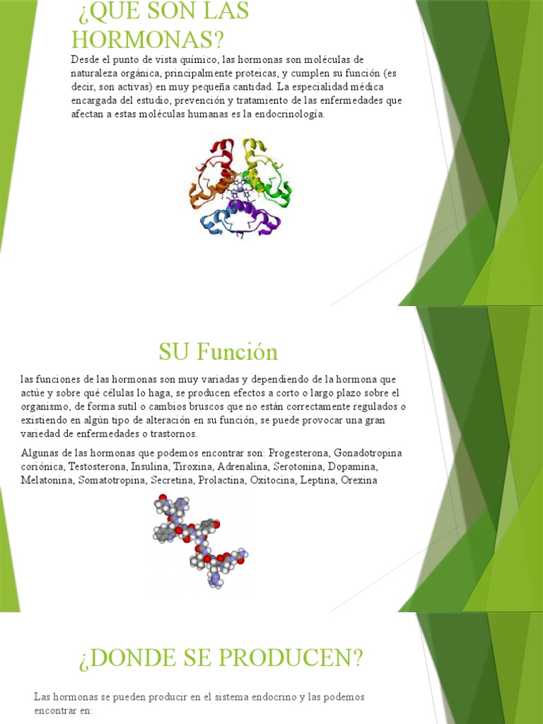 Que Son Las Hormonas | PDF | Relaciones personales, crianza y ...