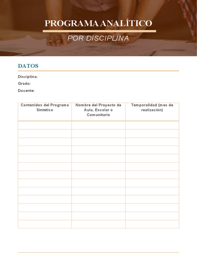 Formato 2 Programa Analítico Por Disciplina | PDF