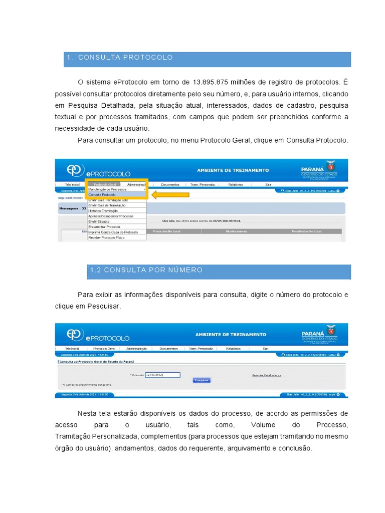 Tutorial Consulta Protocolo | PDF | Dados | Informática