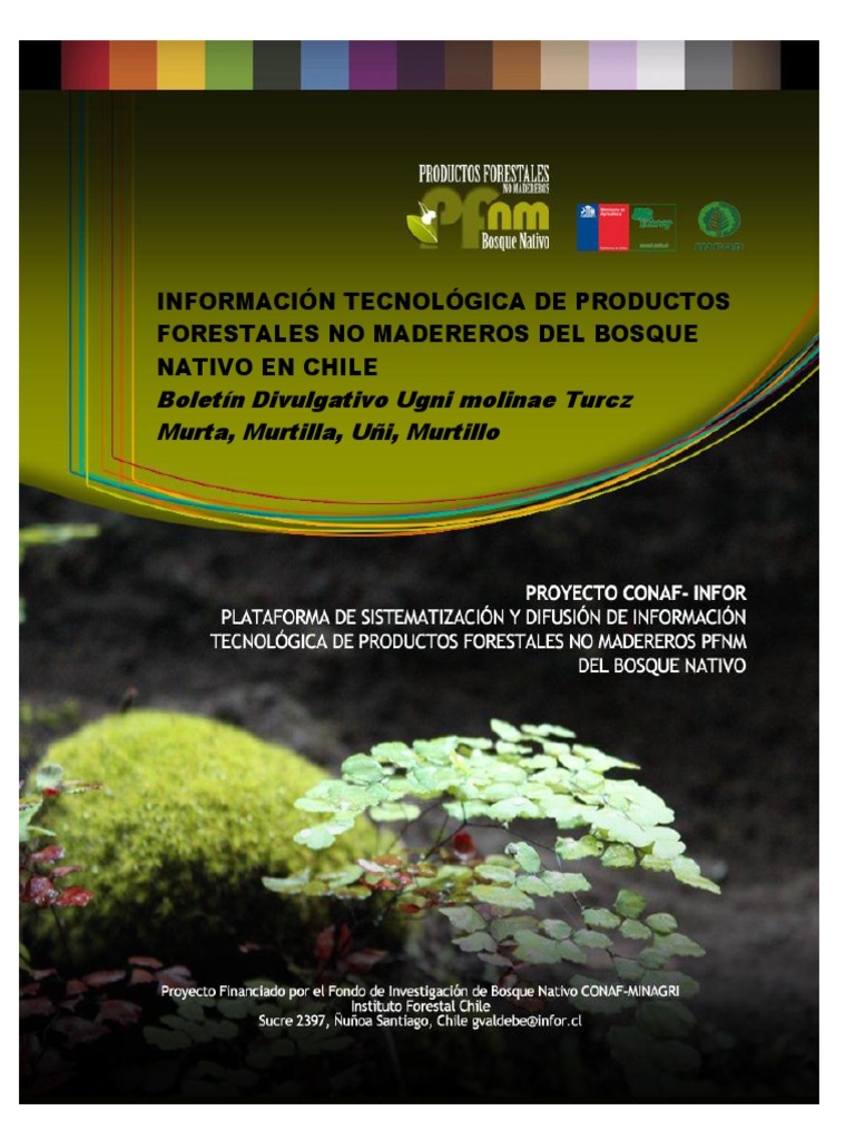 Uso y Procesamiento de Murta en Chile | PDF | Botánica | Plantas