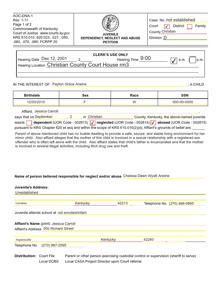 Juvenile Dependency Petition | PDF | Stepfamily | Childhood