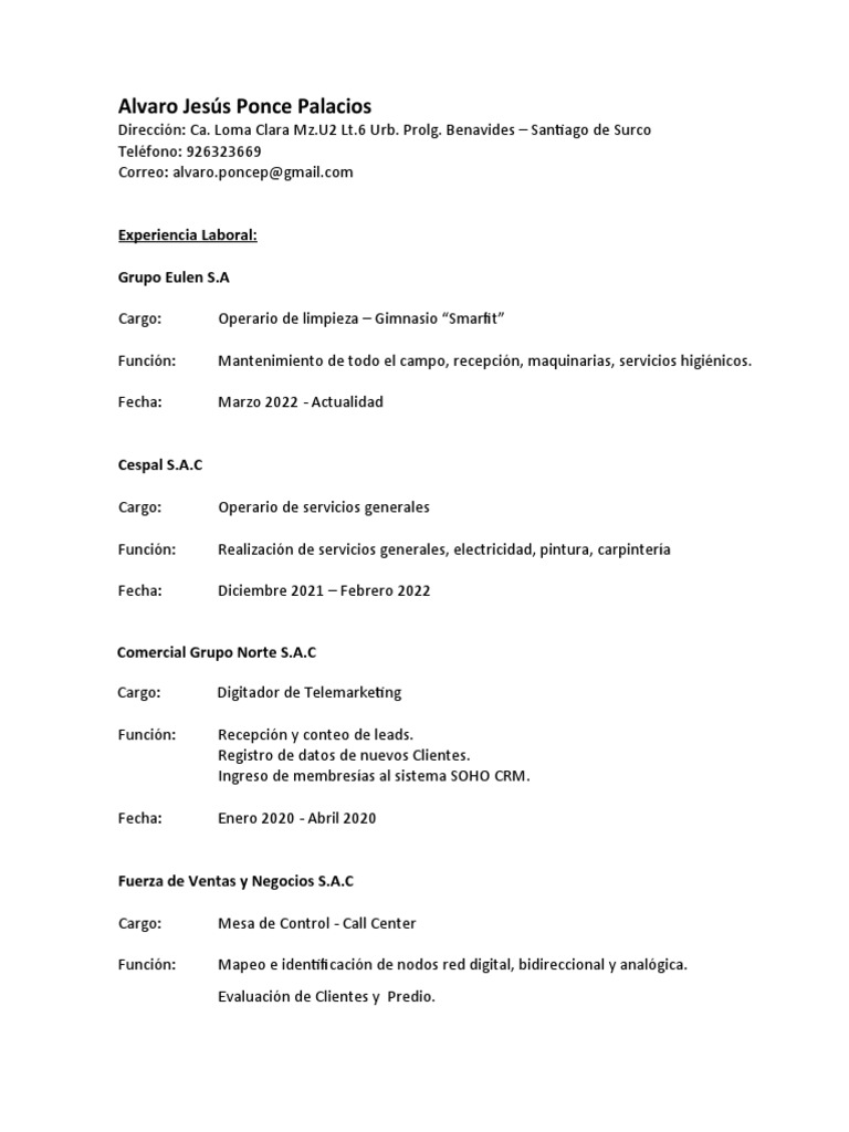 CV Alvaro Ponce | PDF | Business