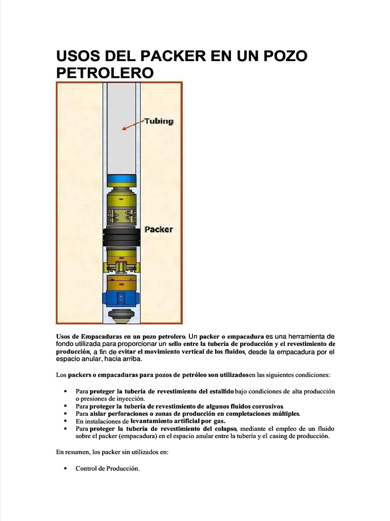 PDF Informe Packer - Compress | PDF | Tubería (transporte de fluidos ...