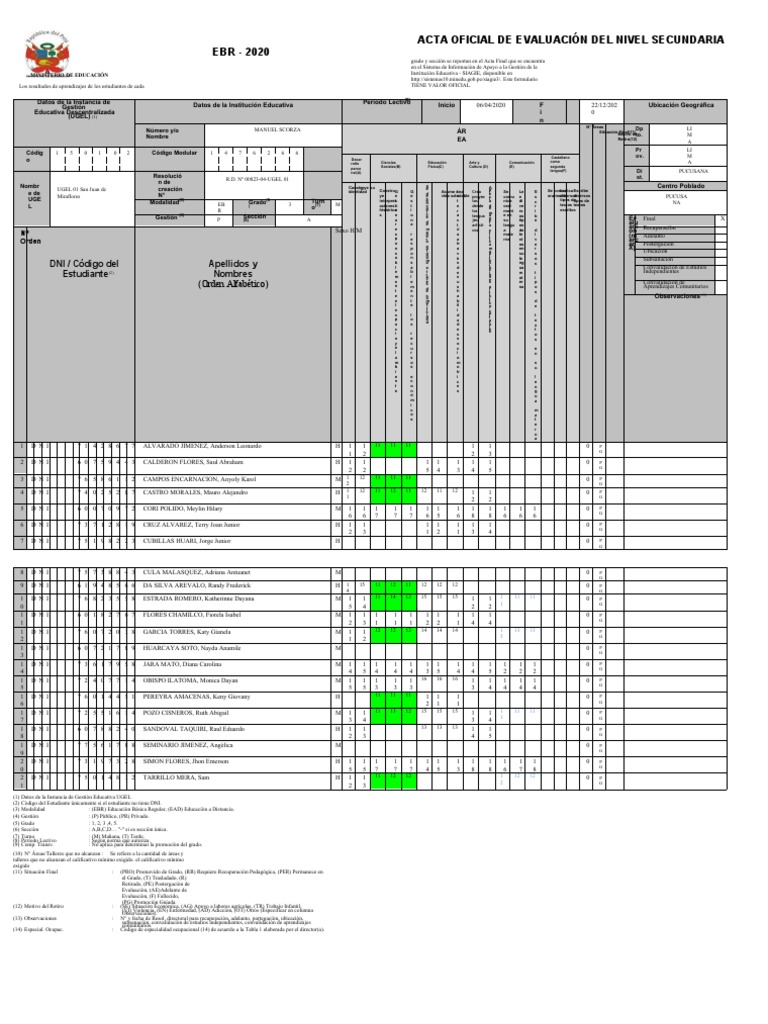 rptFormatoOficial 3 A - 2020 | PDF