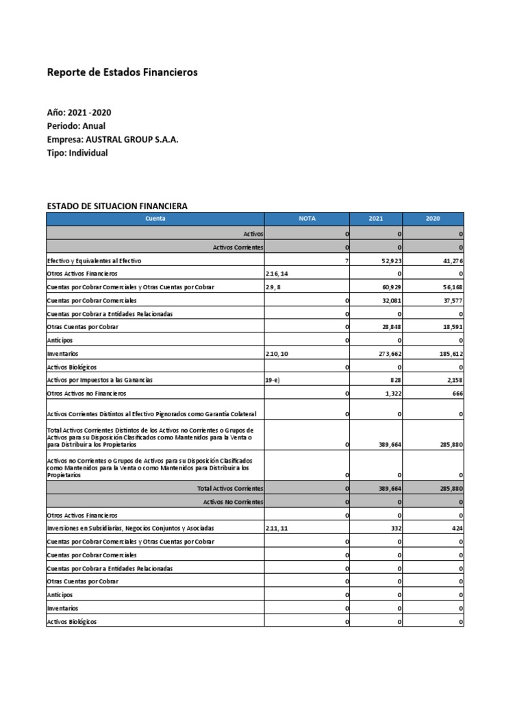 Reporte Detalle Informacion Financiera Austral Group (FINAL CONTABILIDAD) | PDF | Contabilidad ...