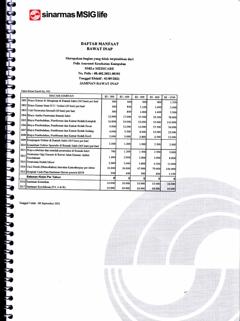 Data Benefit MSIG Sinarmas | PDF