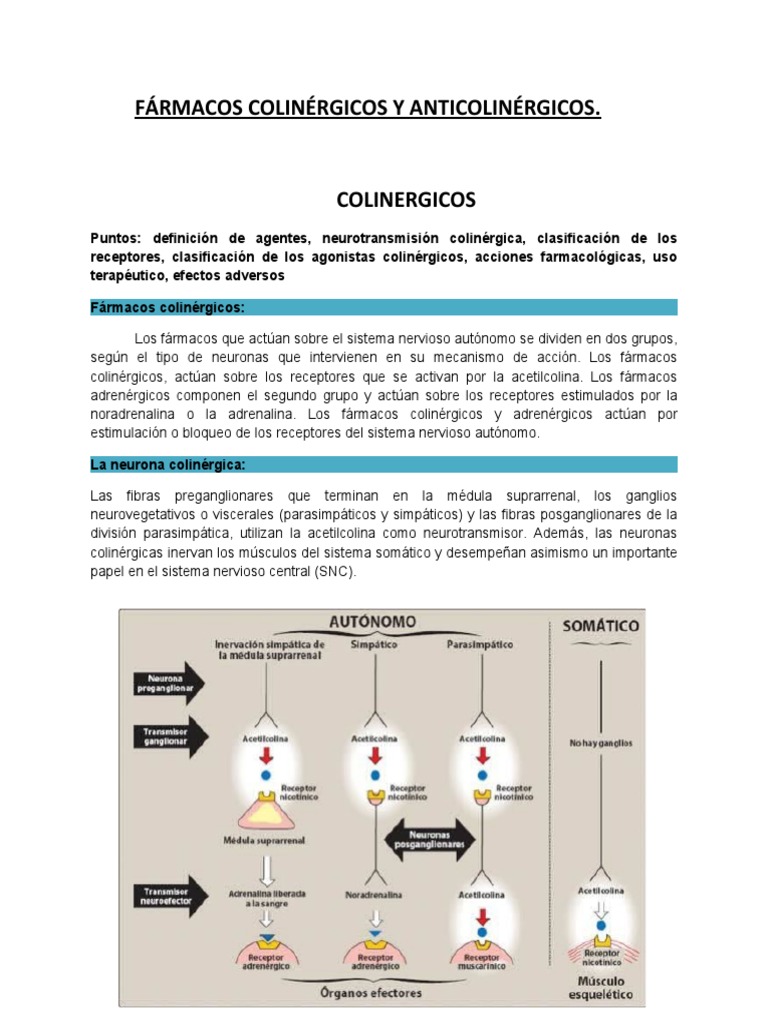 Resumen COLINERGICOS Y ANTICOLINERGICOS | PDF | Acetilcolina | Sinapsis