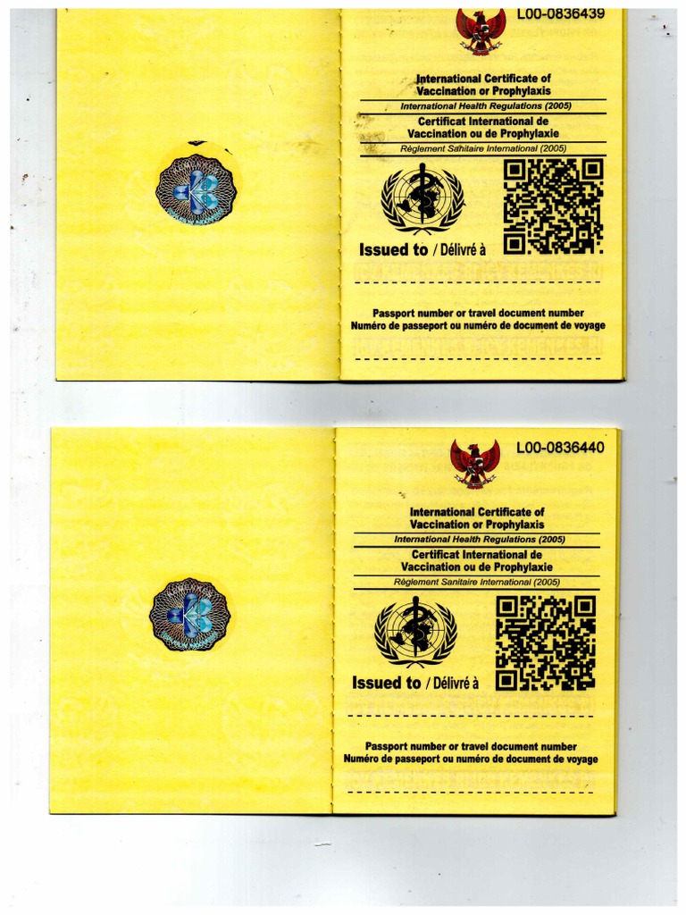 Contoh Kartu ICV Lembaran 1 | PDF