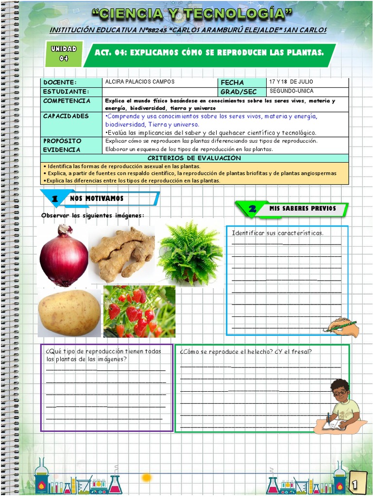 C-2º Act 4 Cyt Unid 4 - Sem 3 | PDF | Flores | Plantas