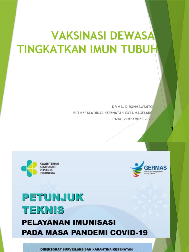 Imunisasi Pada Dewasa Pdf