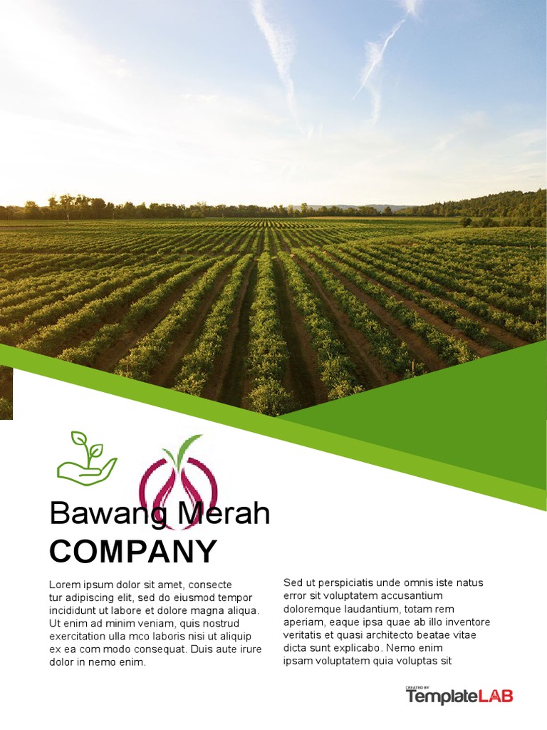 Agricultural Company Profile | PDF
