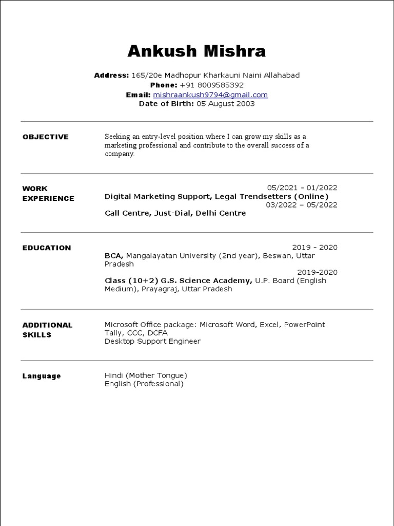 Coolfreecv Resume en 01 | PDF