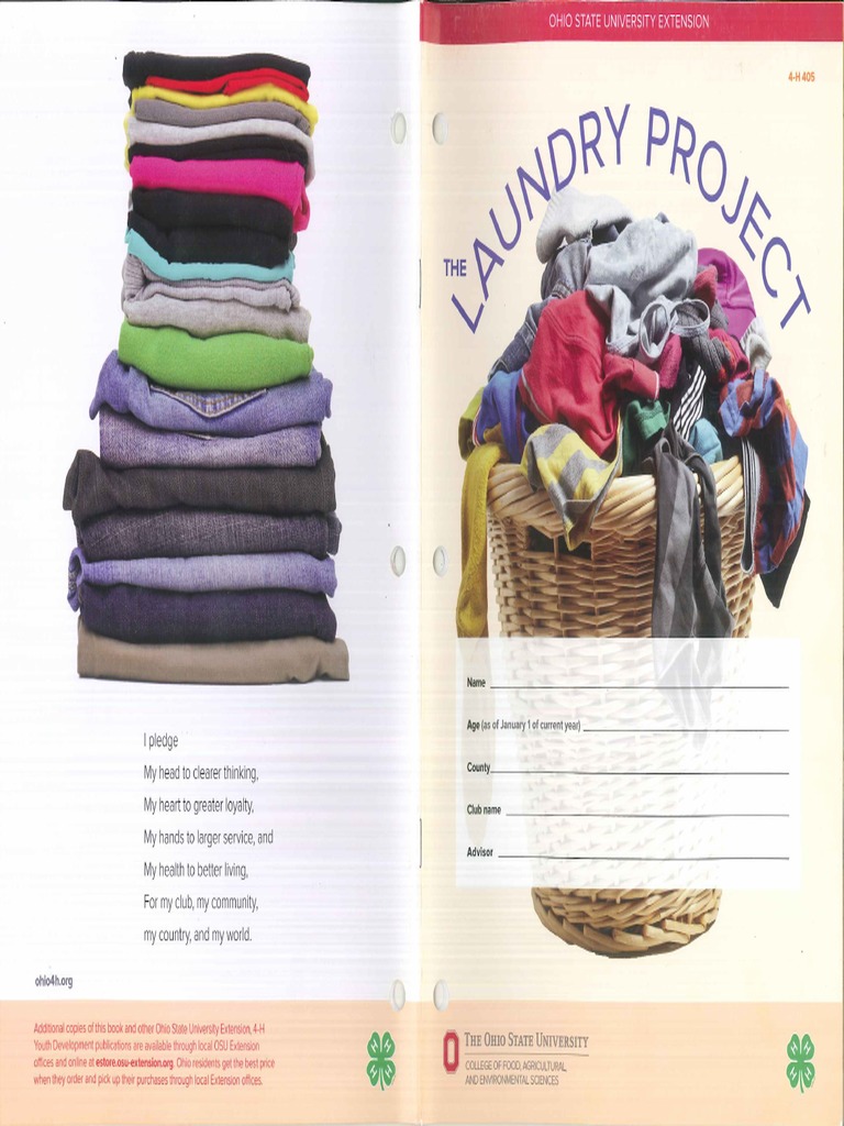 Laundry Project | PDF