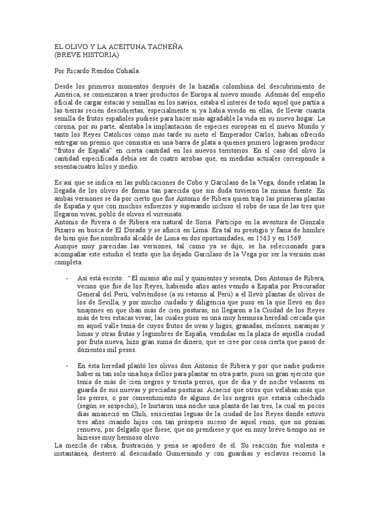 El Olivo y La Aceituna Tacneña | PDF | Perú | Aceituna