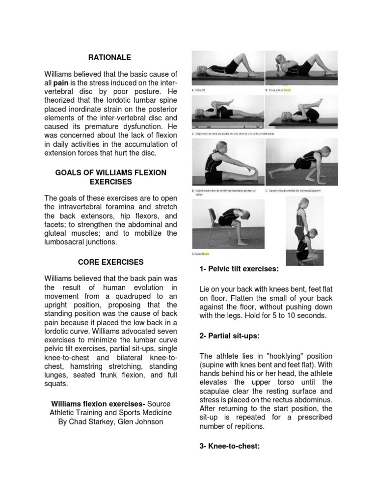 William Exercises | PDF | Anatomical Terms Of Motion | Anatomy