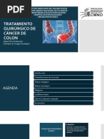 Protocolo Blue | PDF | Enfermedades y trastornos | Neumología