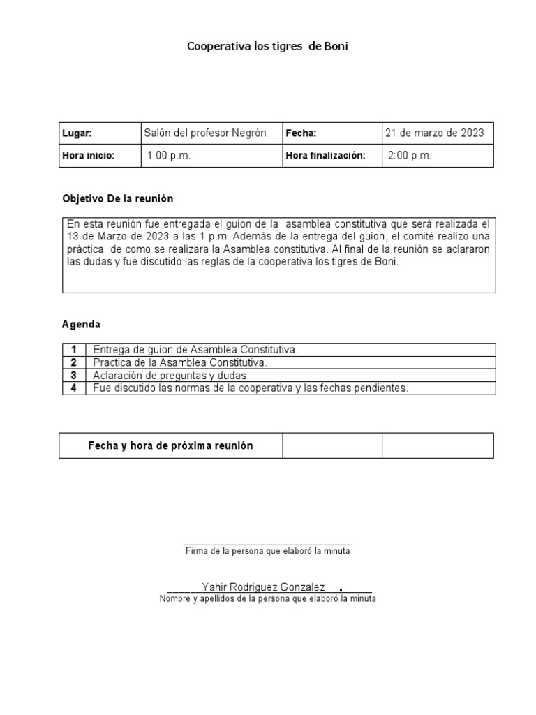 02.plantilla para Minuta de Reunión | PDF